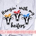 Hangin' With My Heifers Svg,hanging With My Heifers Shirt Svg,country ...