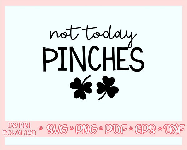 Not today pinches svgSt Patrick's day svgIrish svgSt | Etsy