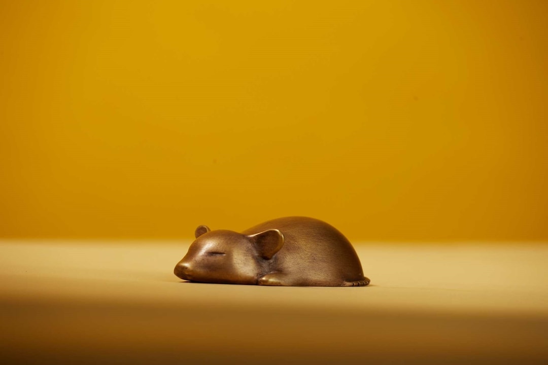 Sleeping Mouse : Neru Neru Collection - Etsy