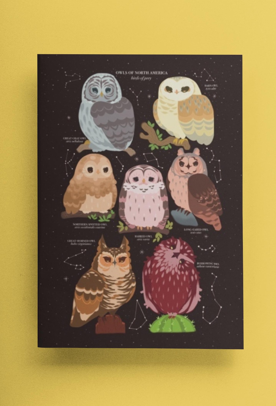 Owl Taxonomy Dotted Notebook / Spiral Notebook / Cute Notebook / Gifts ...