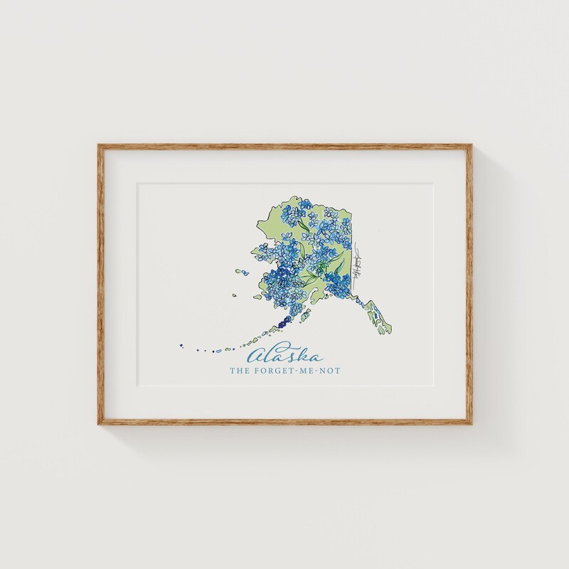 Alaska Forget Me Not - Etsy