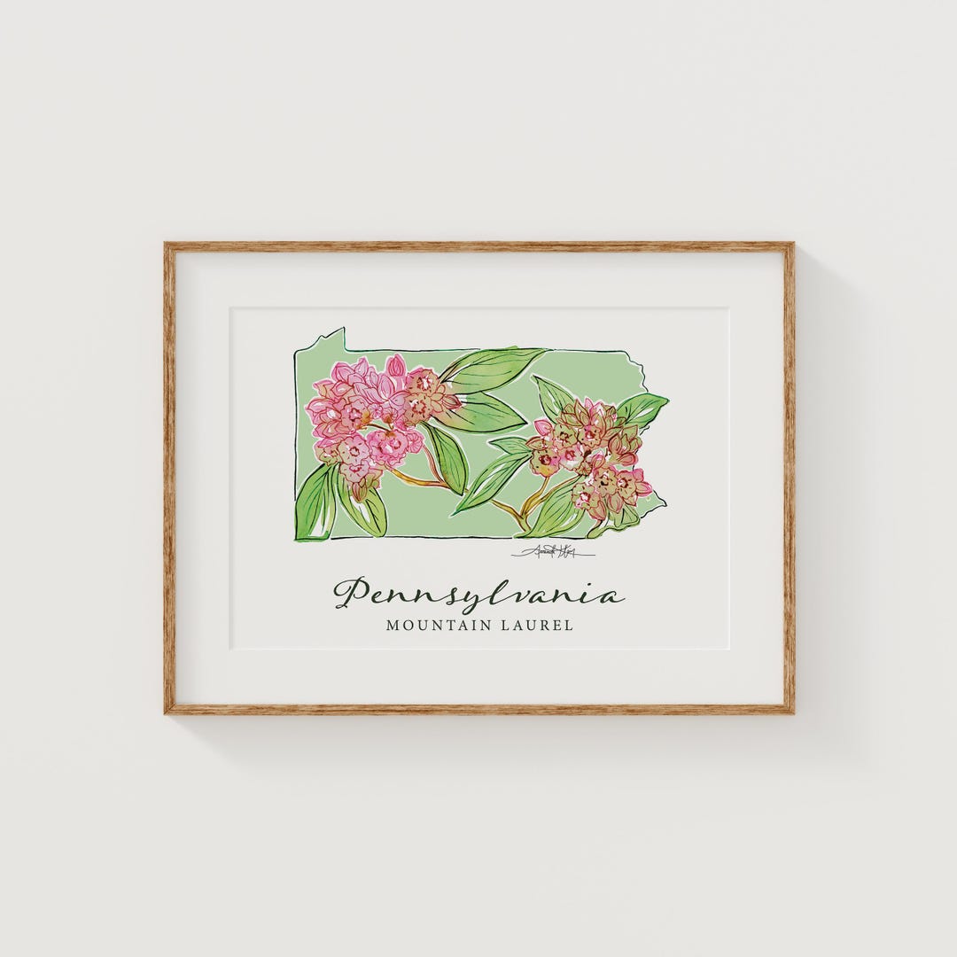 PENNSYLVANIA Mountain Laurel State Flower Art Print Fine Art Floral Map ...