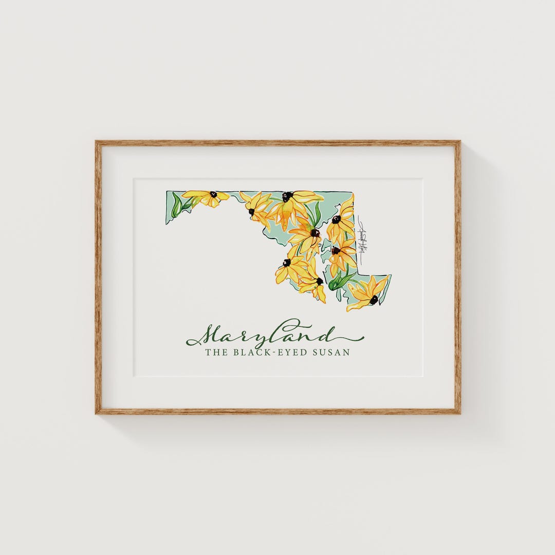 MARYLAND Black-eyed Susan State Flower Art Print Fine Art Floral Map ...