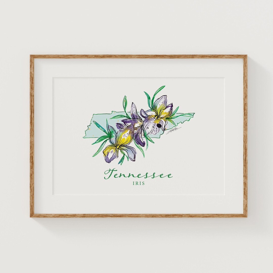 TENNESSEE Iris State Flower Fine Art Print | Botanical Map | State ...