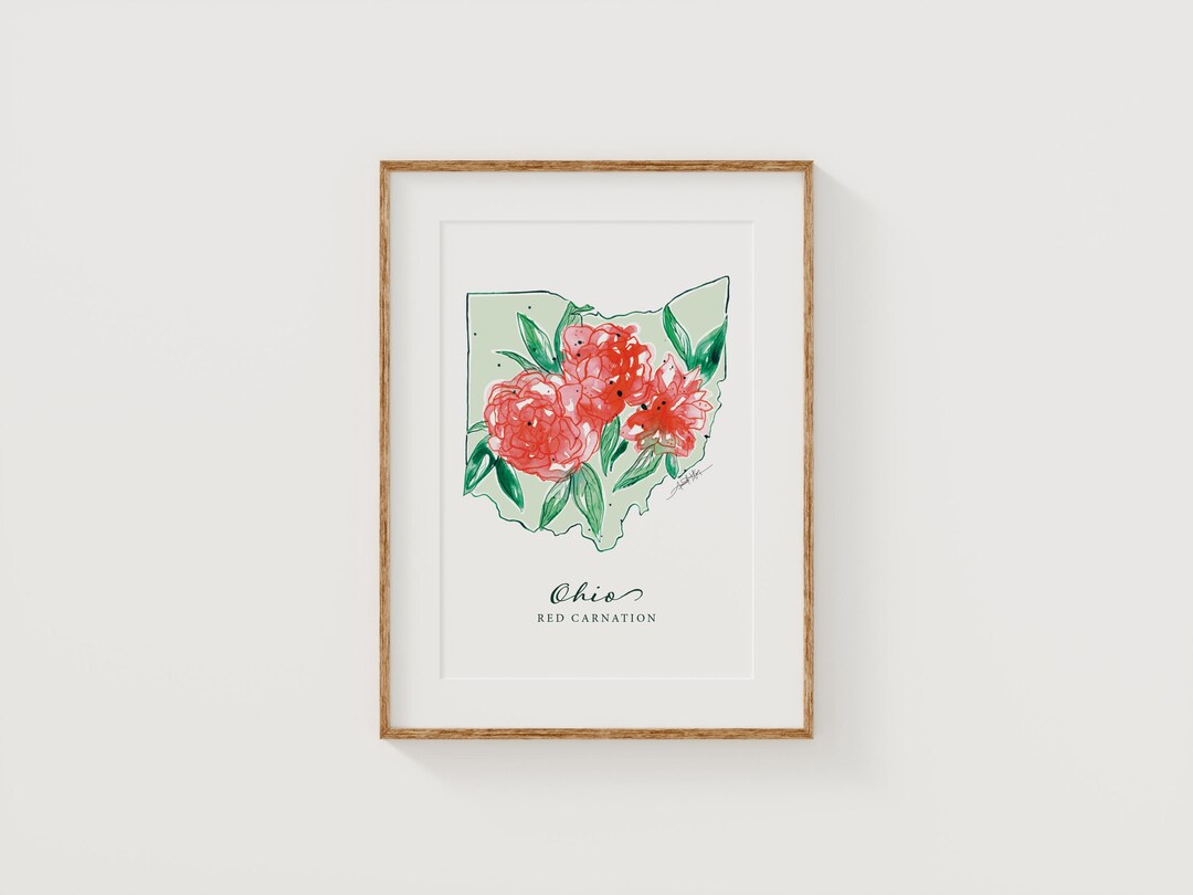 OHIO Red Carnation State Flower Art Print Fine Art Floral Map Poster ...