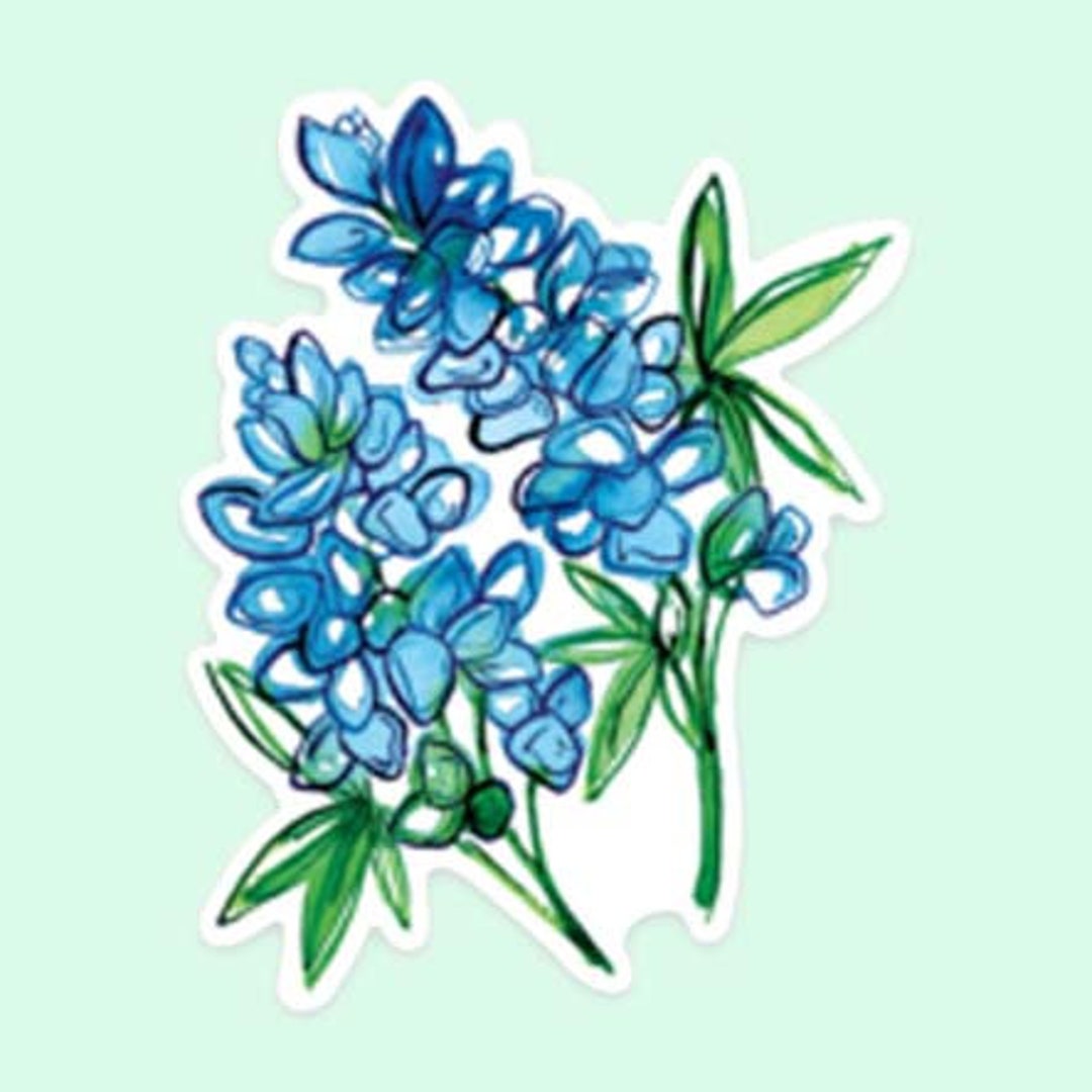 Bluebonnet Vinyl Decal Sticker Cute Sticker Water Bottle Weatherproof ...