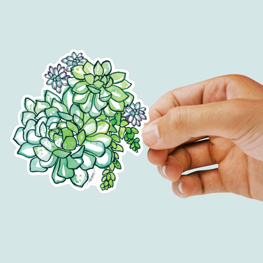 Succulent Vinyl Decal Cute Sticker Weatherproof Waterproof Water Bottle ...
