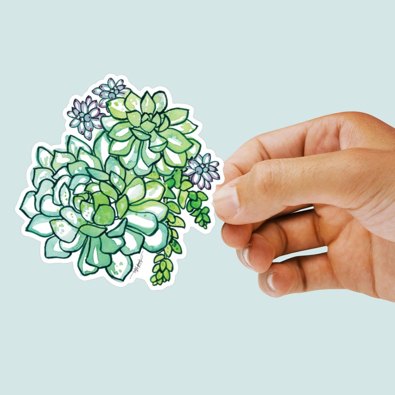 Succulent Decal - Etsy