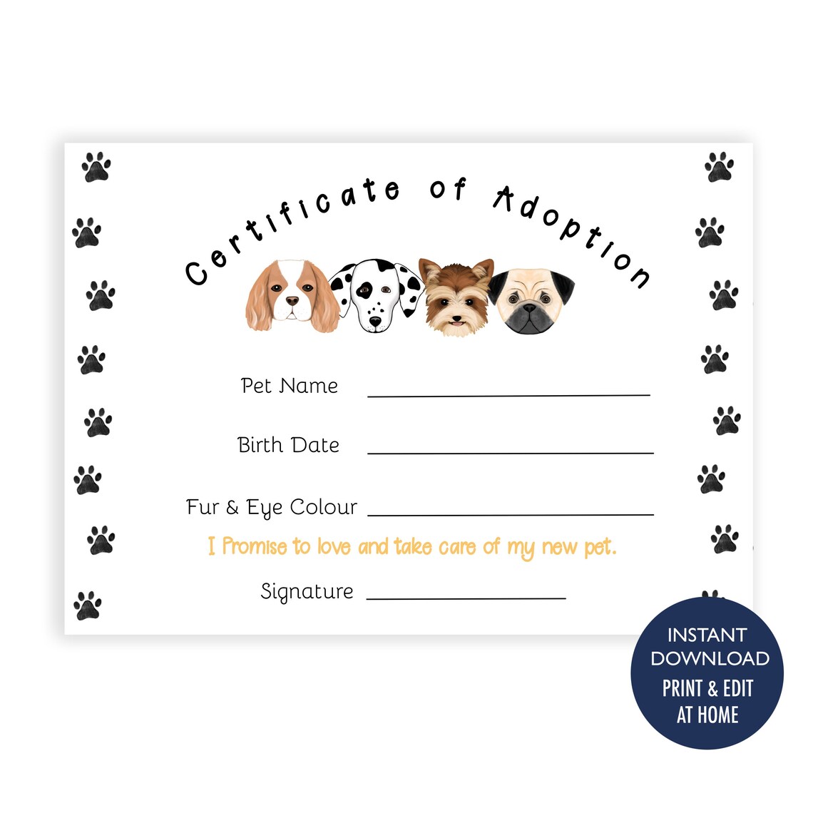 Adopt a Puppy Certificate, Kids Birthday Invitation, 5th 1st Birthday ...