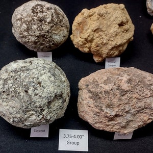 Mexican Geode Variety Pack - Guaranteed Hollow, 2-4" Diameter, 4 Geodes ...