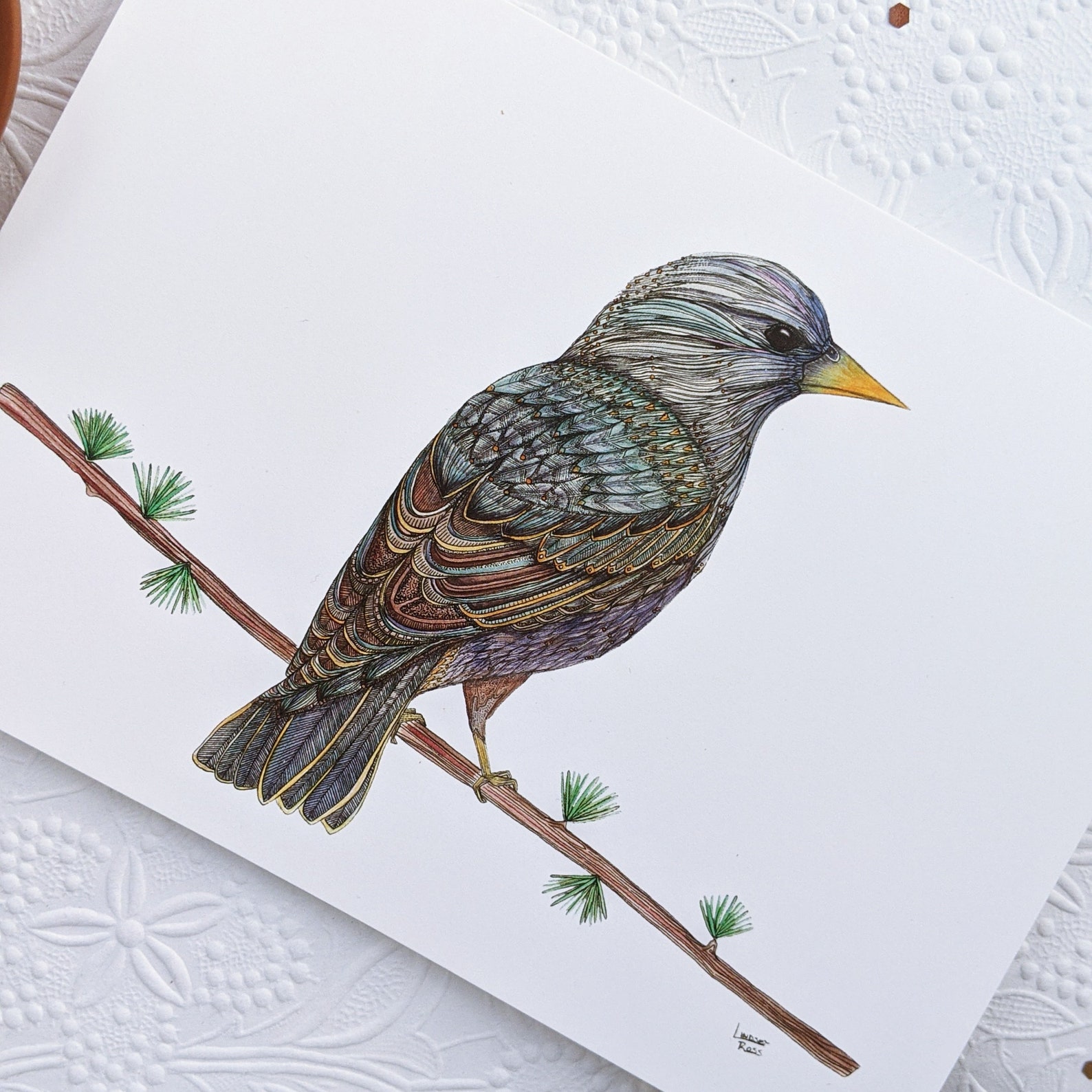 Starling Card // Bird Card // Starling Illustration // Card - Etsy