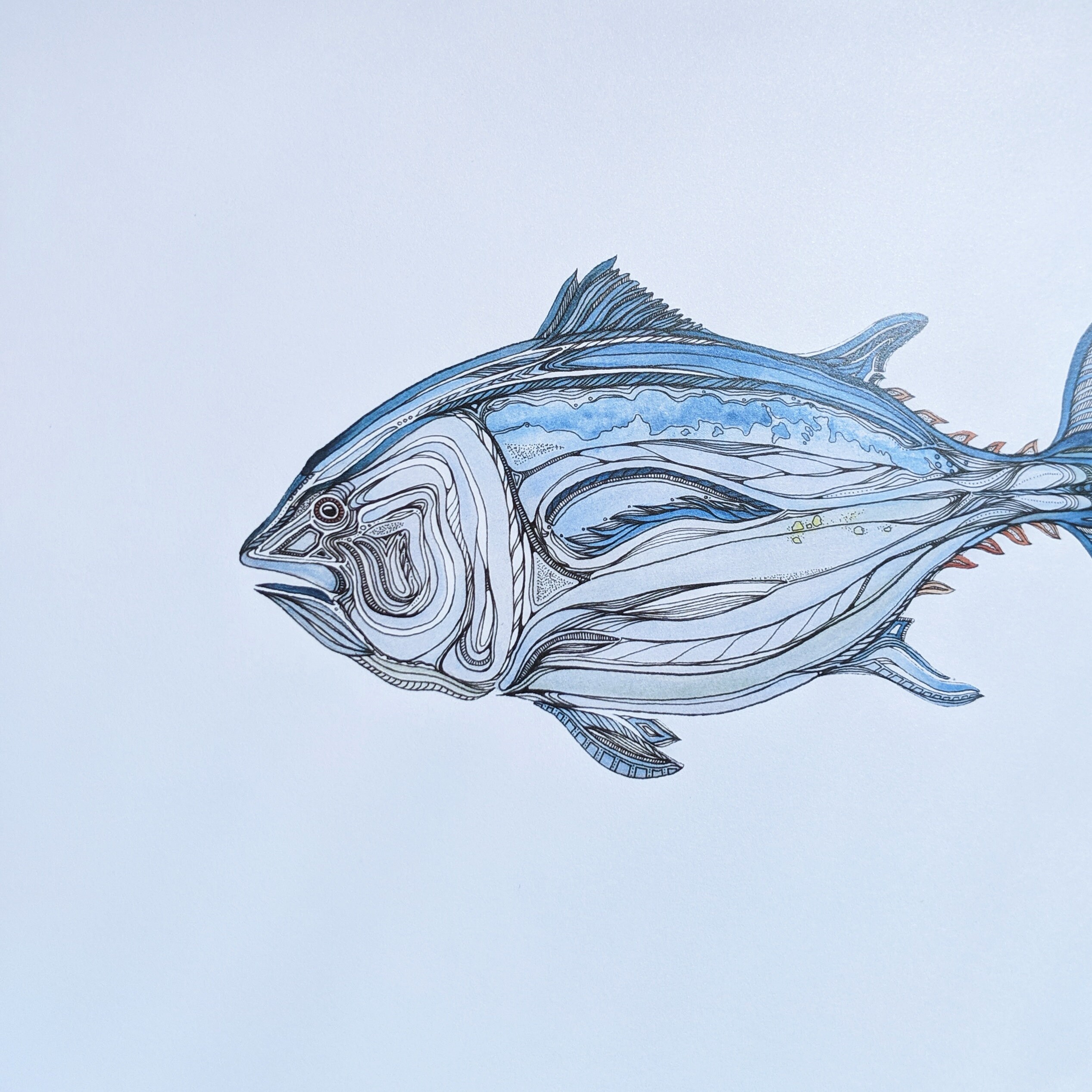Tuna Artwork Bluefin Tuna Tuna Print East Coast Art 11 X | Etsy