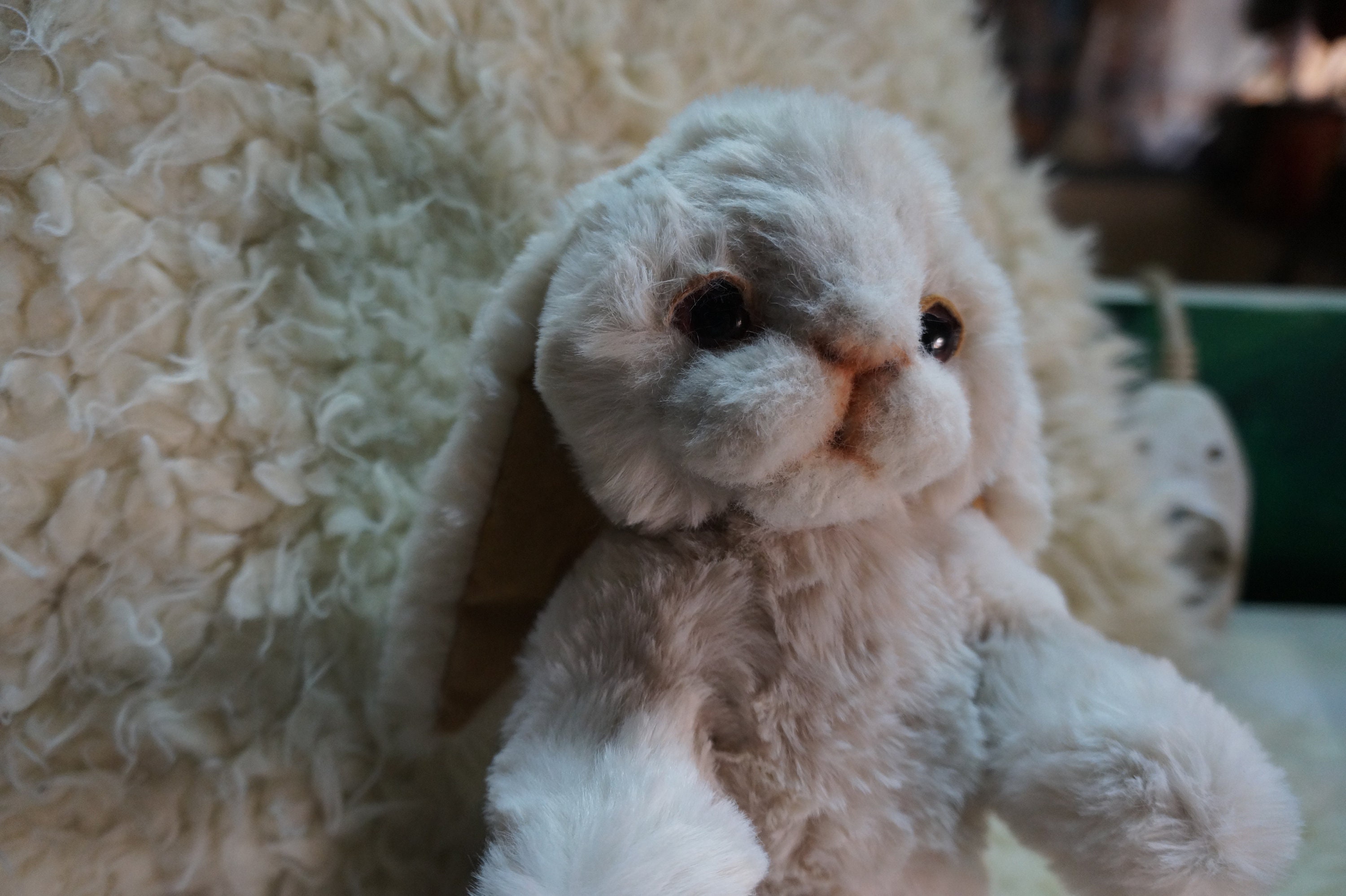 Cute Realistic Bunny , Realistic Plush, Realistic Rabbit Plush, Rabbit ...