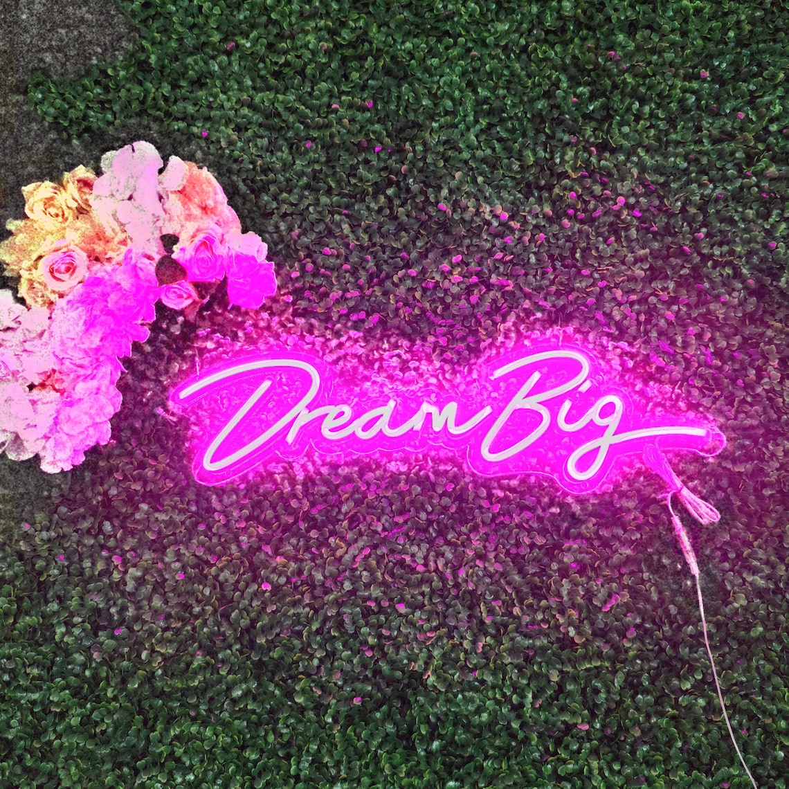 Dream Big Neon Sign – Custom Neon Text Sign for Wall Decor | Pink Neon ...