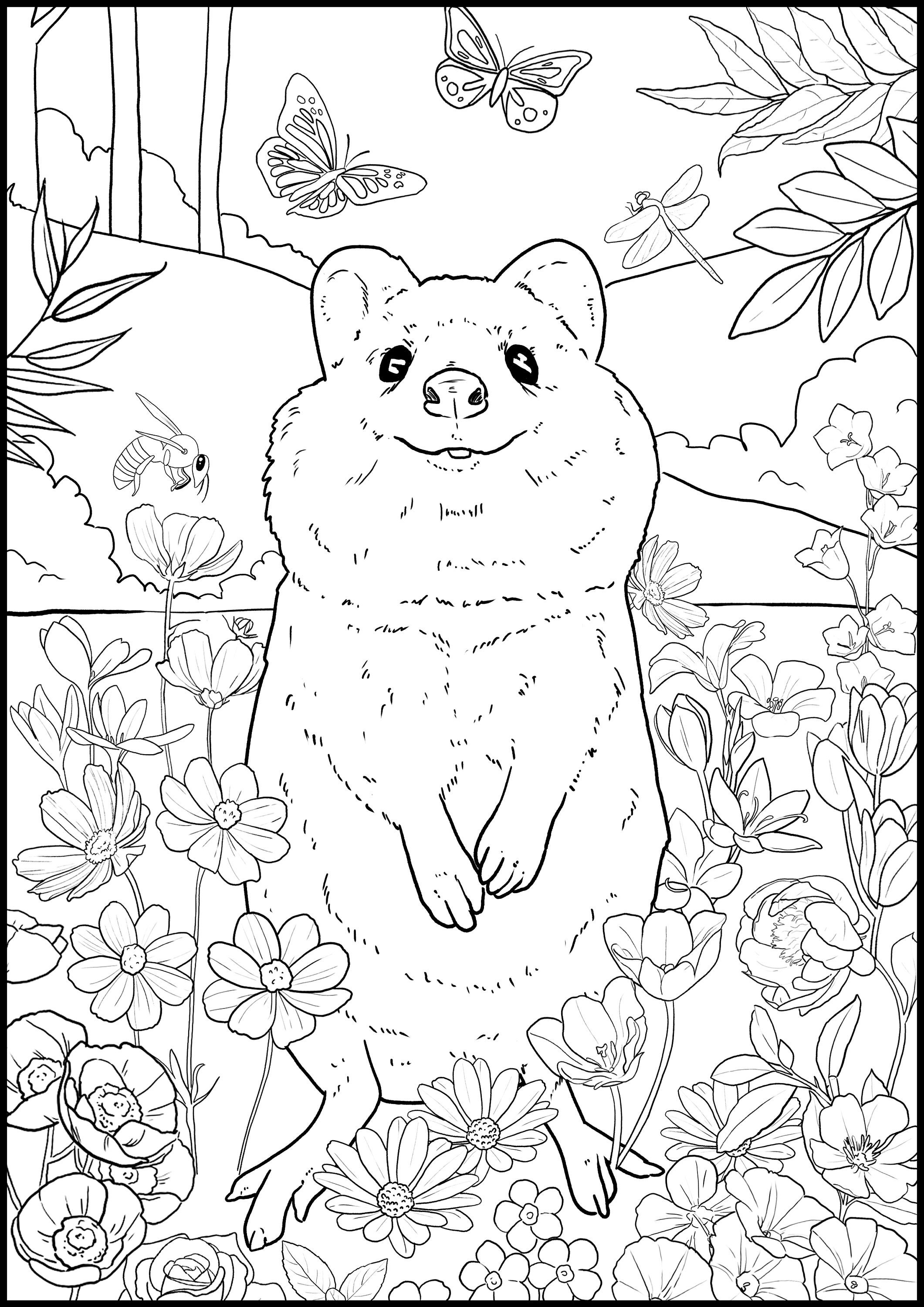 Baby Animals Adult Coloring Book | 25 Coloring Pages for Grownups - Etsy