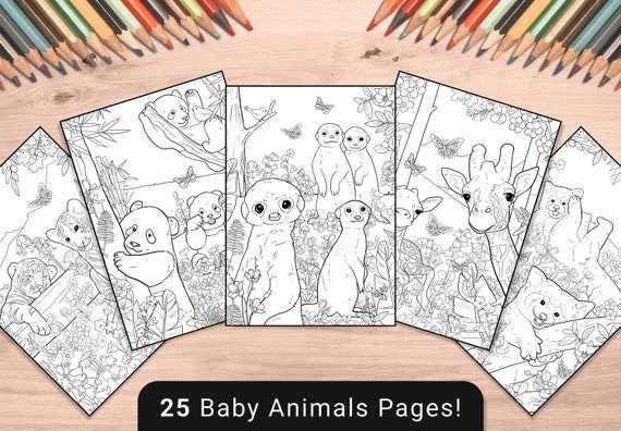 Baby Animals Adult Coloring Book 25 Coloring Pages for - Etsy