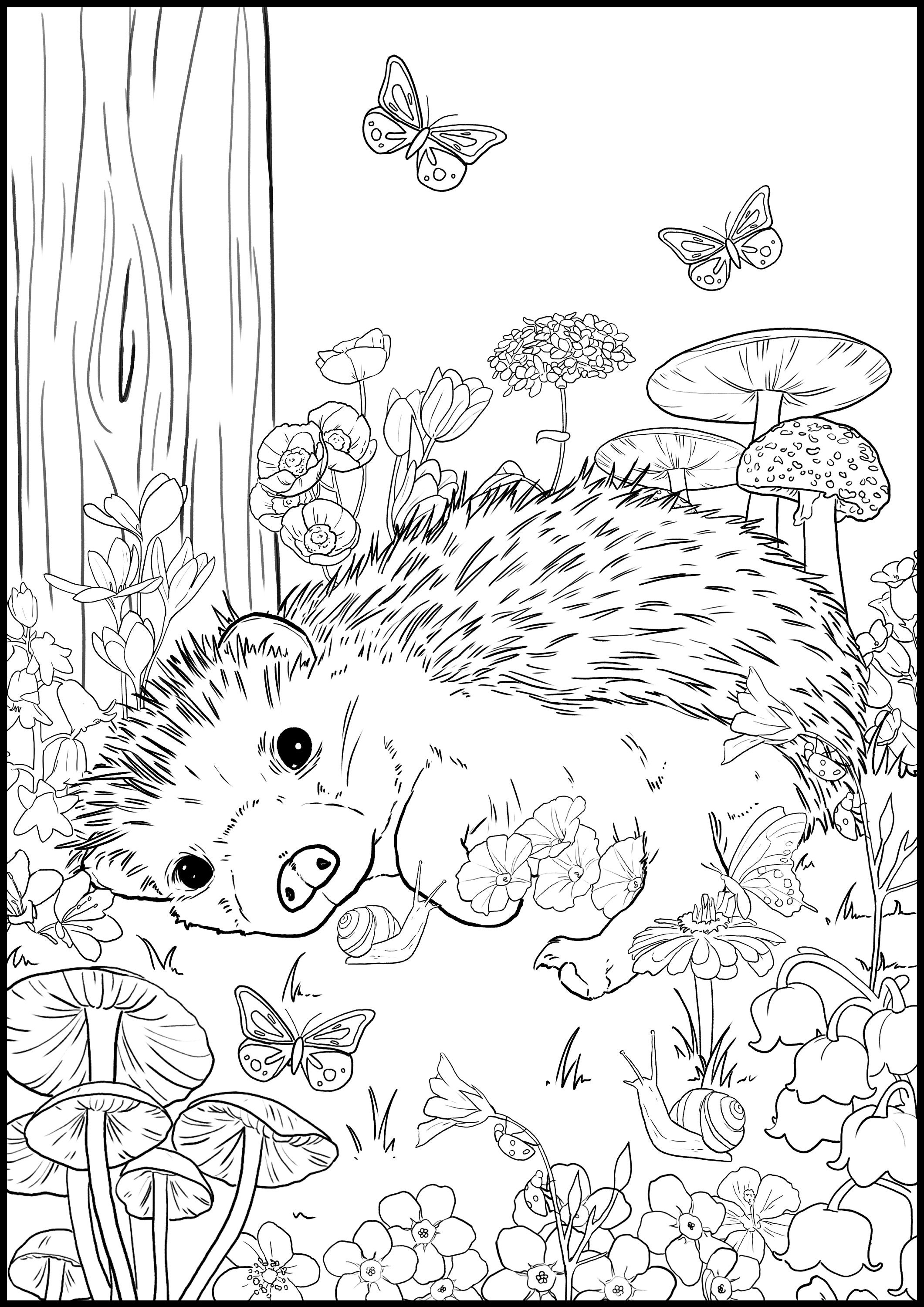 Baby Animals Adult Coloring Book | 25 Coloring Pages for Grownups - Etsy