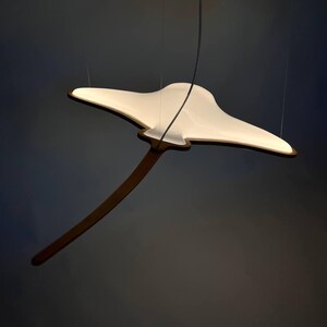 Handmade Flying Stingray Lamp: Artem Ronsky Marine Pendant Light - Etsy