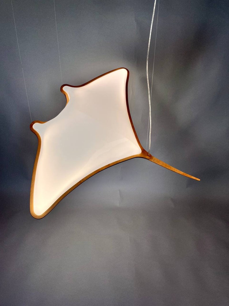 Una composición de increíbles lámparas en forma de Mantarraya ...