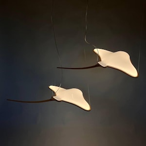 Handmade Flying Stingray Lamp: Artem Ronsky Marine Pendant Light - Etsy