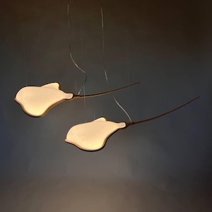 Handmade Flying Stingray Lamp: Artem Ronsky Marine Pendant Light - Etsy