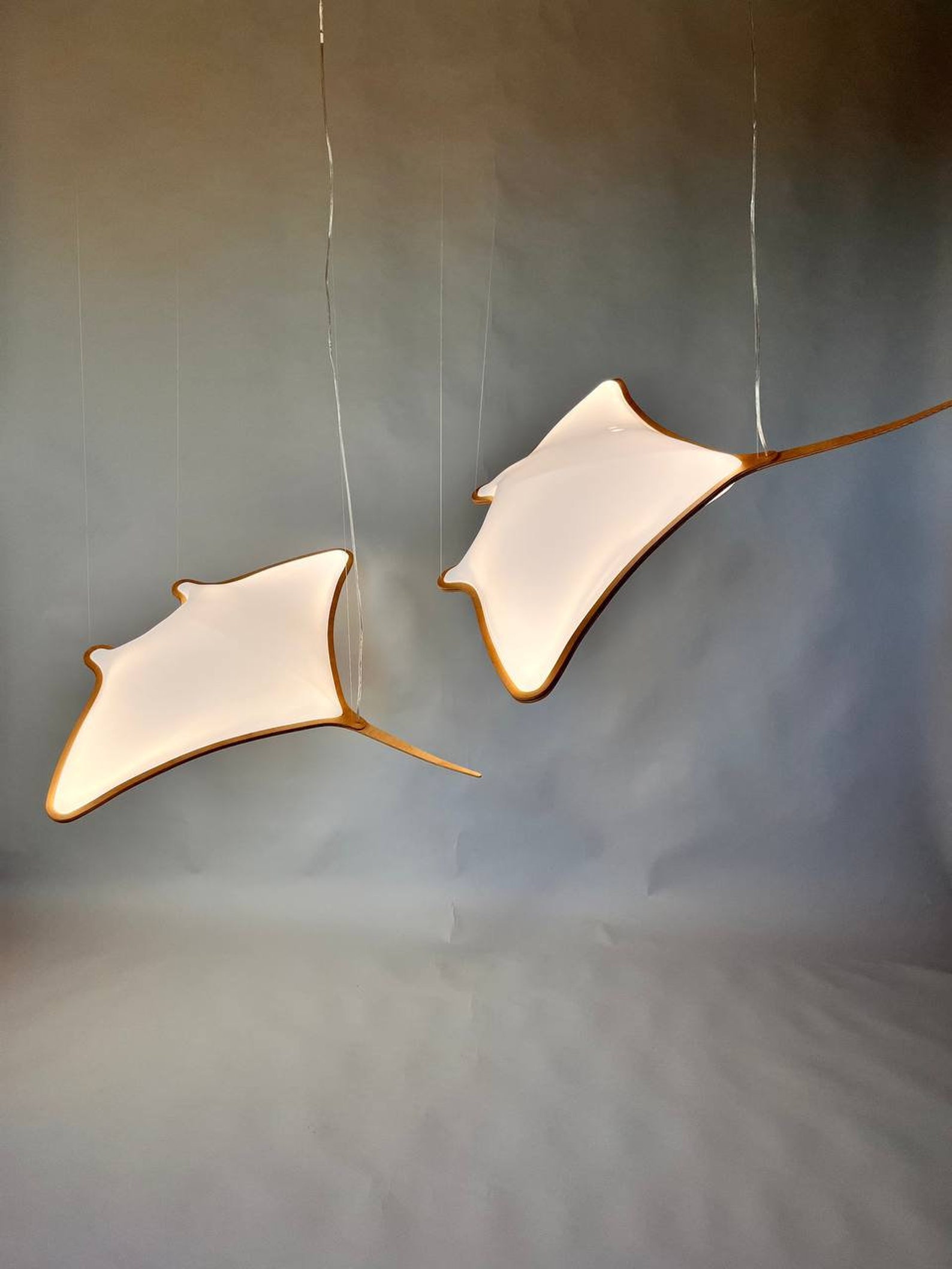 Handmade Manta Ray Lamp: Nautical LED Pendant Light - Etsy