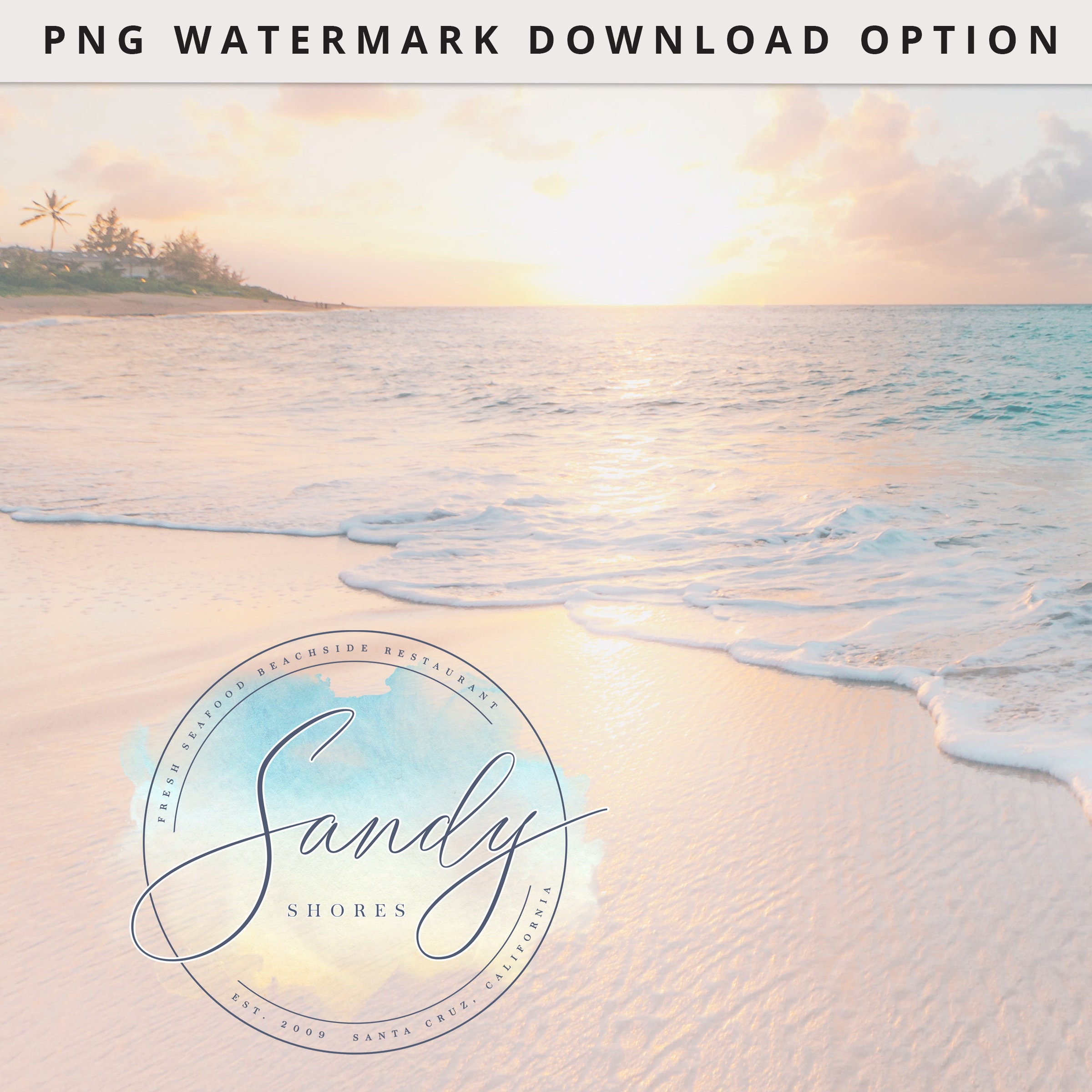 Premade 3 X Logo Suite Beachy Watercolor Splash Modern Logos - Etsy