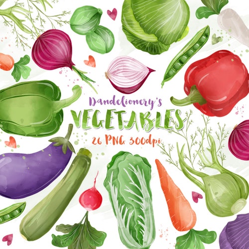 Watercolor Vegetables Clipart Healthy Food Download Onion - Etsy