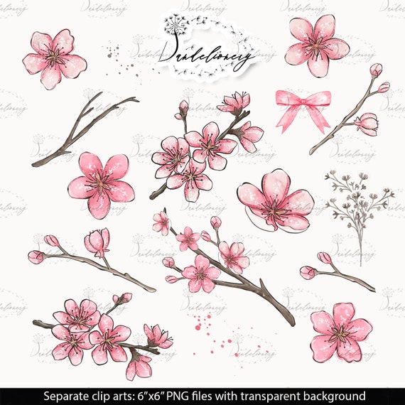 Cherry Blossom Flower Clip Art