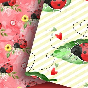 Watercolor Sweet Ladybug Digital Paper Pack, Ladybug Download, Instant ...