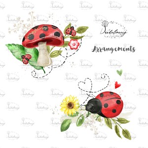 Watercolor Sweet Ladybug Clipart, Ladybug Download, Instant Download ...
