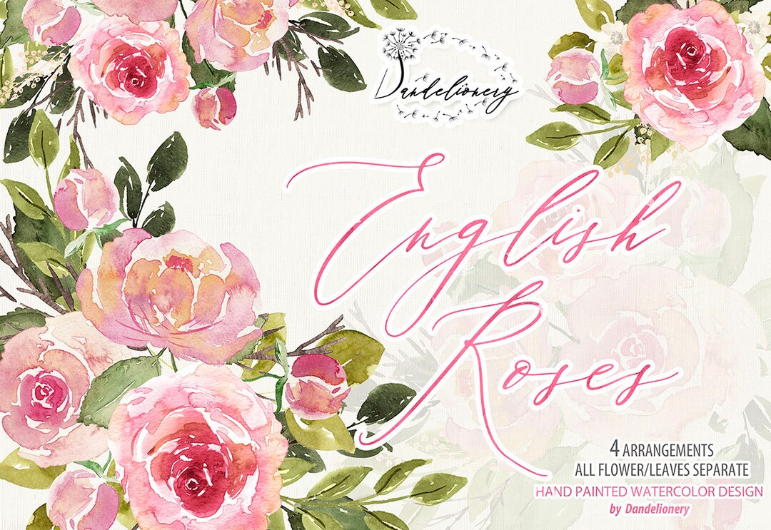 Watercolor English Roses Design, Garden, Flower Clip Art, Hand Drawn ...