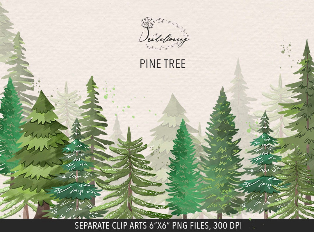 Pine Tree Watercolor Design, Christmas Tree, Christmas Clip Art, Xmas ...