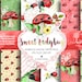 Watercolor Sweet Ladybug Digital Paper Pack Ladybug Download | Etsy