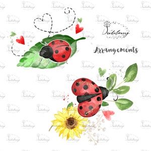 Watercolor Sweet Ladybug Clipart, Ladybug Download, Instant Download ...