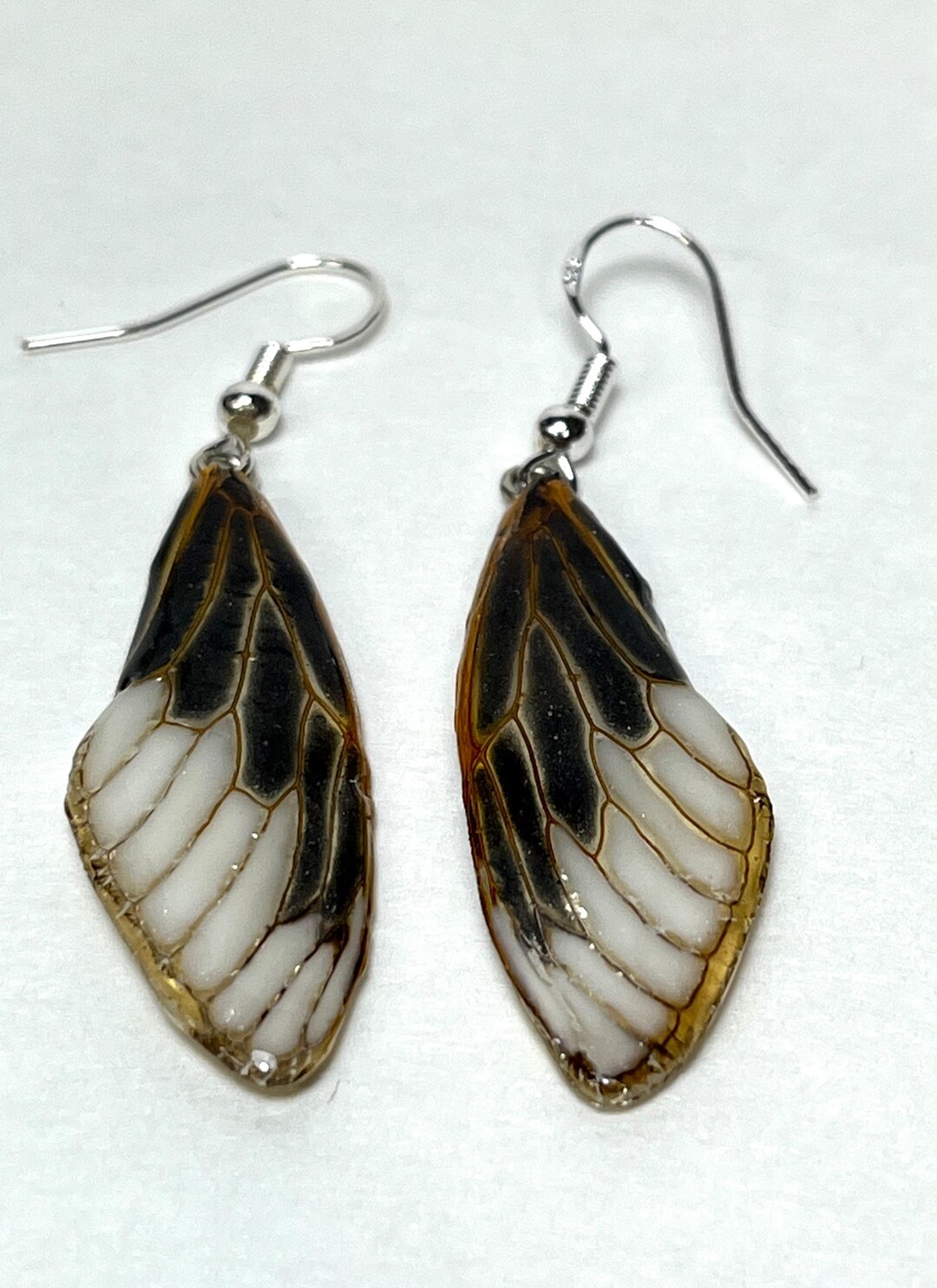 Real Cicada Wing Earrings – Black and White Resin Coating– 2024 South ...
