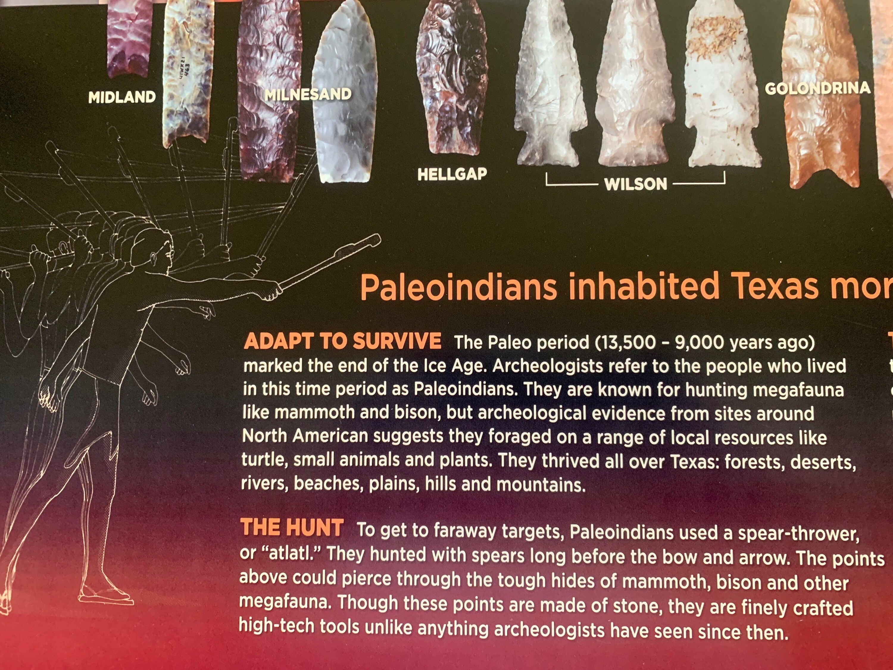 Arrowhead Timeline Poster - First Texans 13,000 Years - Indian ...