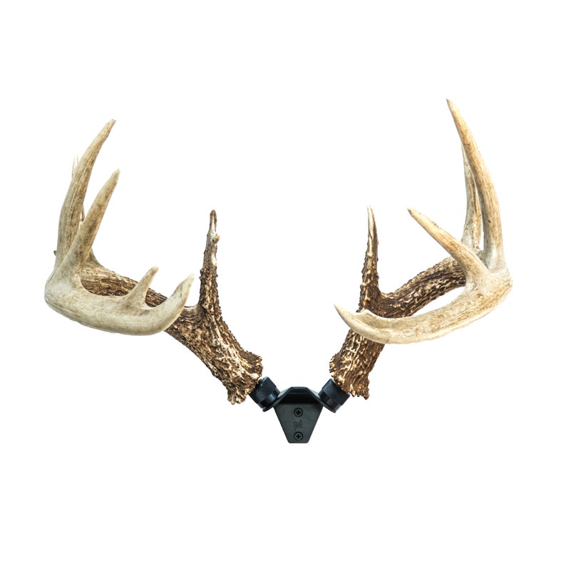 RACK HUB™ RH2 / match set antler mount / shed antler display / | Etsy