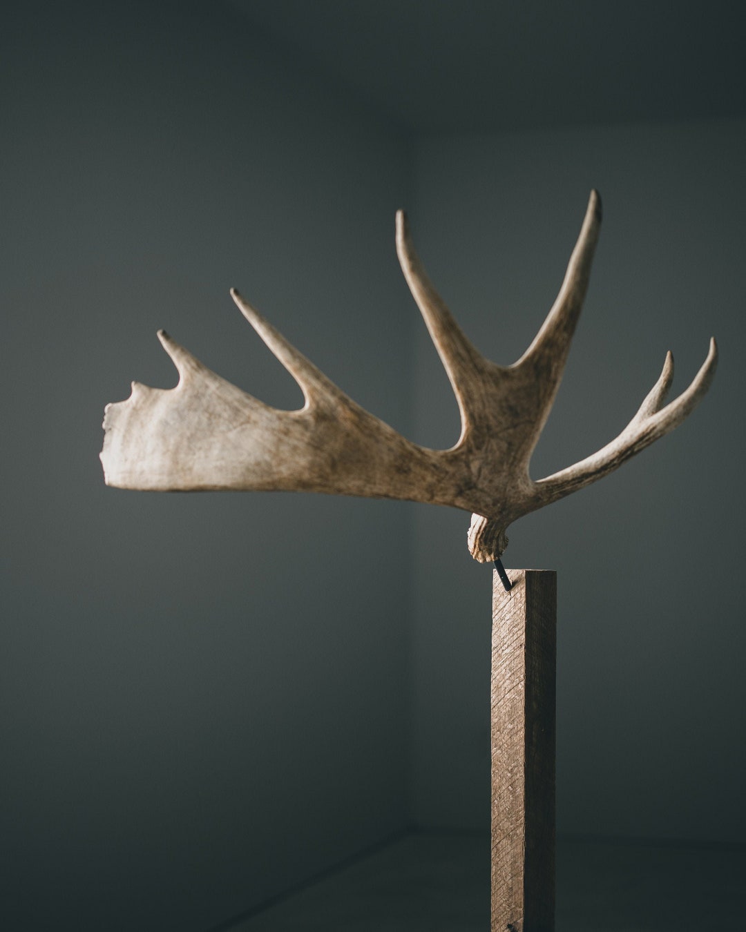 XL Antler Bar: Simple Steel Antler Mount - Etsy