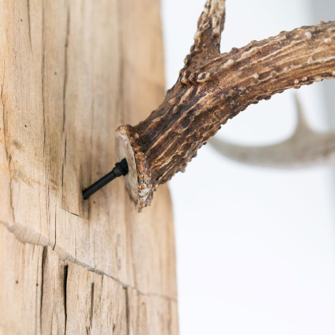 RACK HUB™ 10 Pack / Antler Bar / DIY Antler Mount / Shed | Etsy