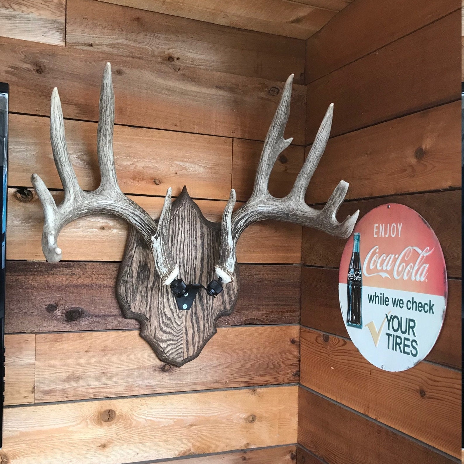 RACK HUB™ RH2 / Match Set Antler Mount / Shed Antler Display / - Etsy