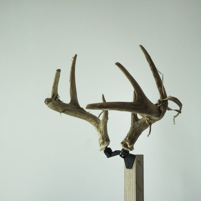 RACK HUB™ RH2 / match set antler mount / shed antler display / | Etsy