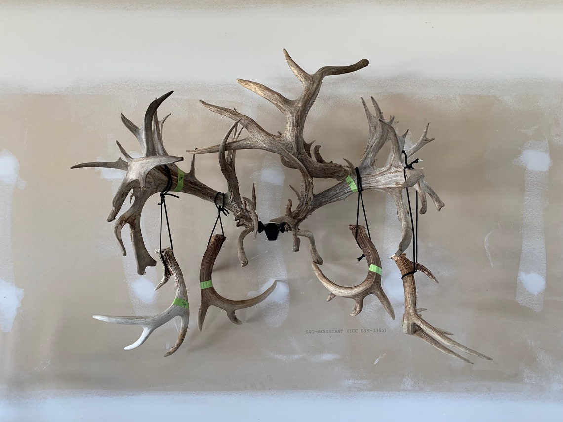 RACK HUB™ RH2 / match set antler mount / shed antler display / | Etsy