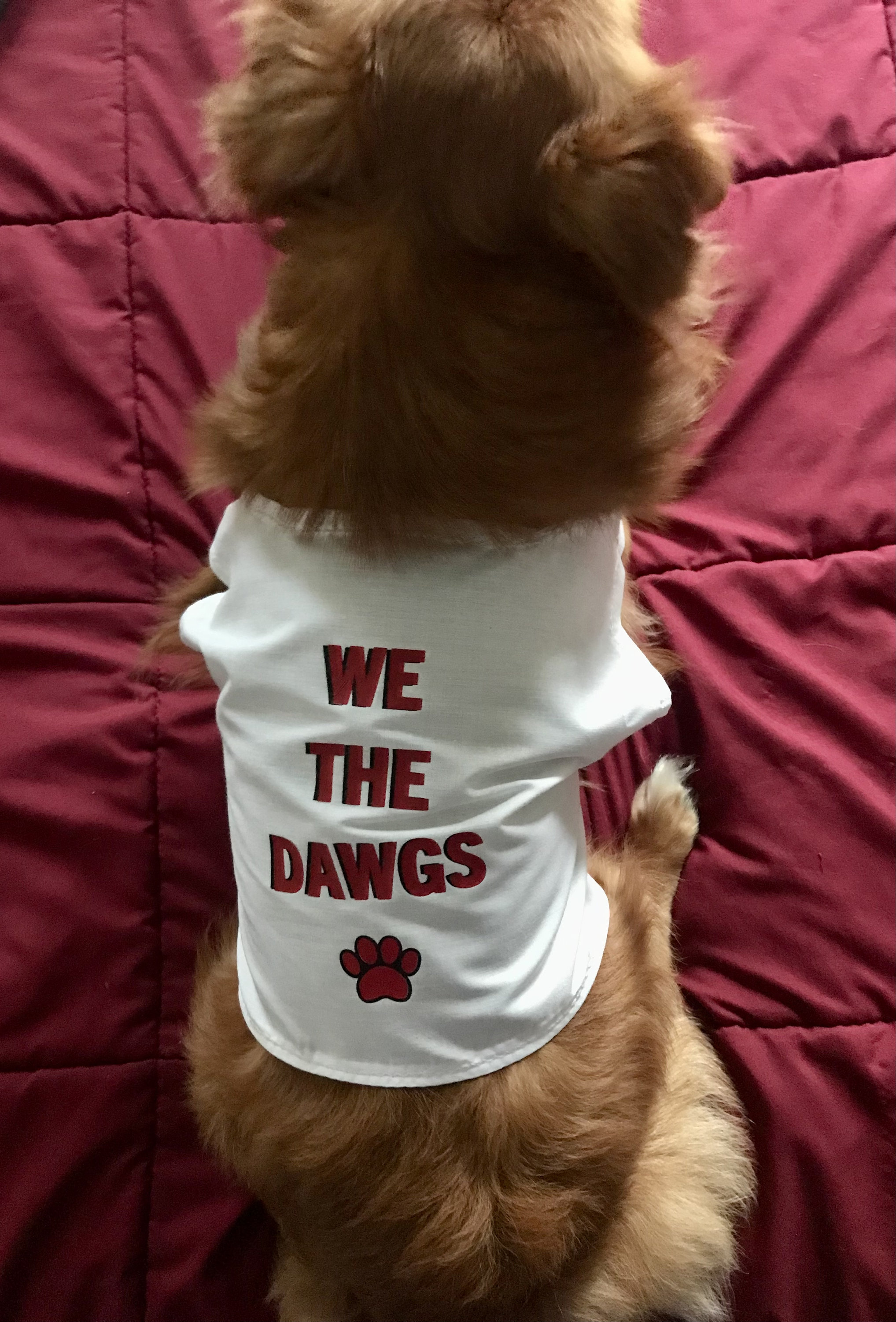 The Usos “WE THE DAWGS” Doggie T-shirt - Etsy