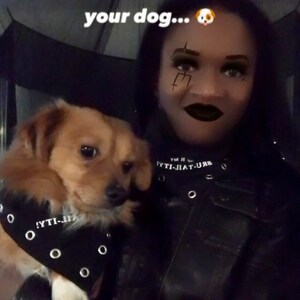Rhea Ripley “this is My Bru-tail-ity!”two Piece Dog Outfit - Etsy