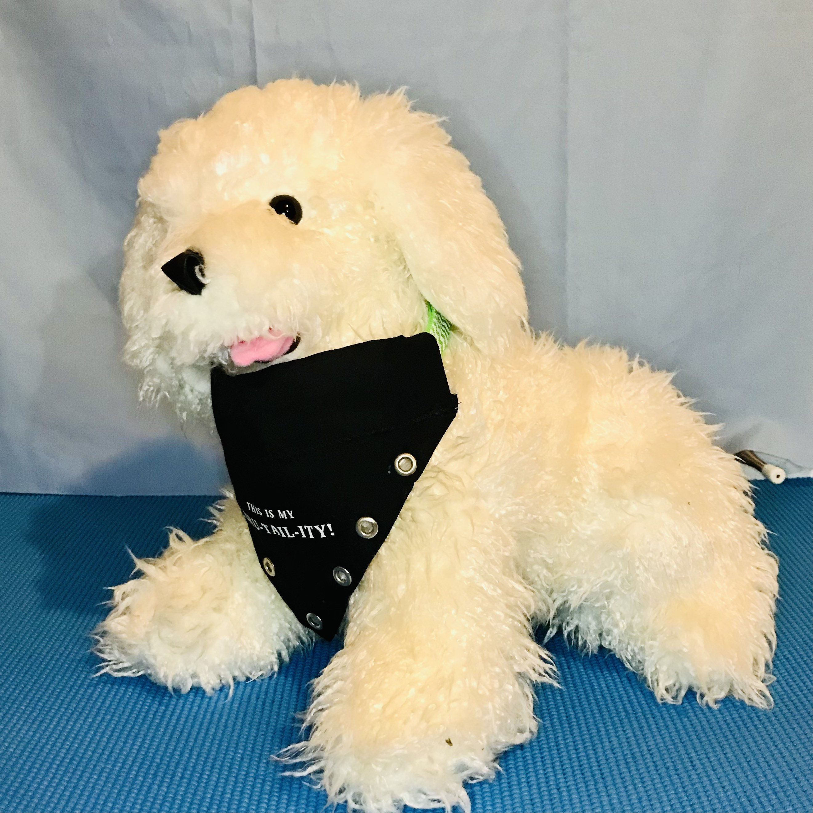 Rhea Ripley “this is My Bru-tail-ity!”two Piece Dog Outfit - Etsy
