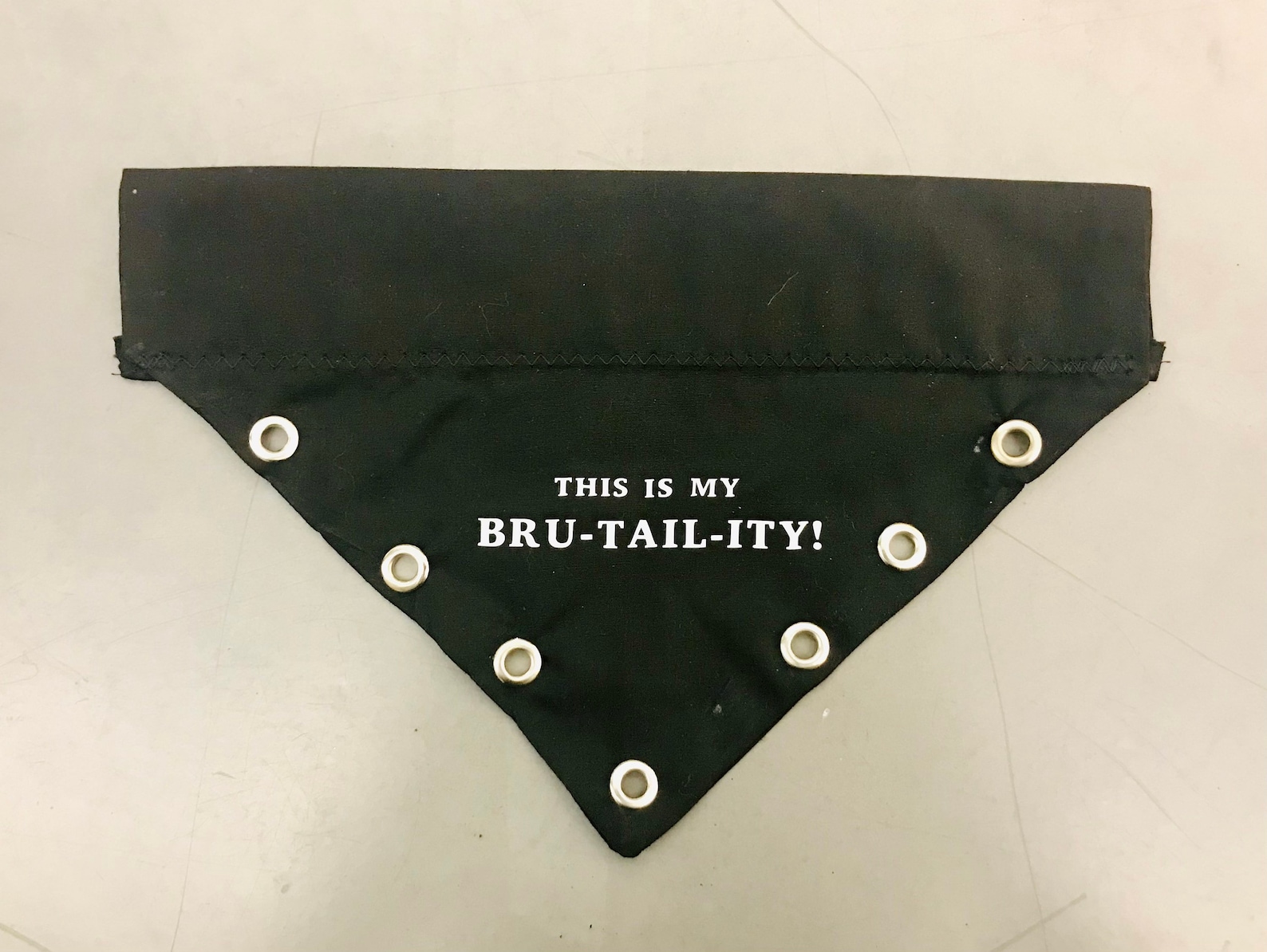 Rhea Ripley “this is My Bru-tail-ity!”two Piece Dog Outfit - Etsy