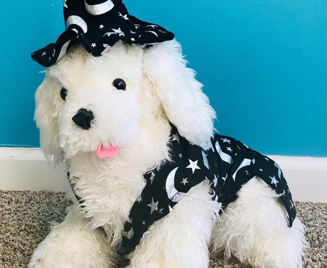Starlight Witch and Wizard Costumes - Etsy