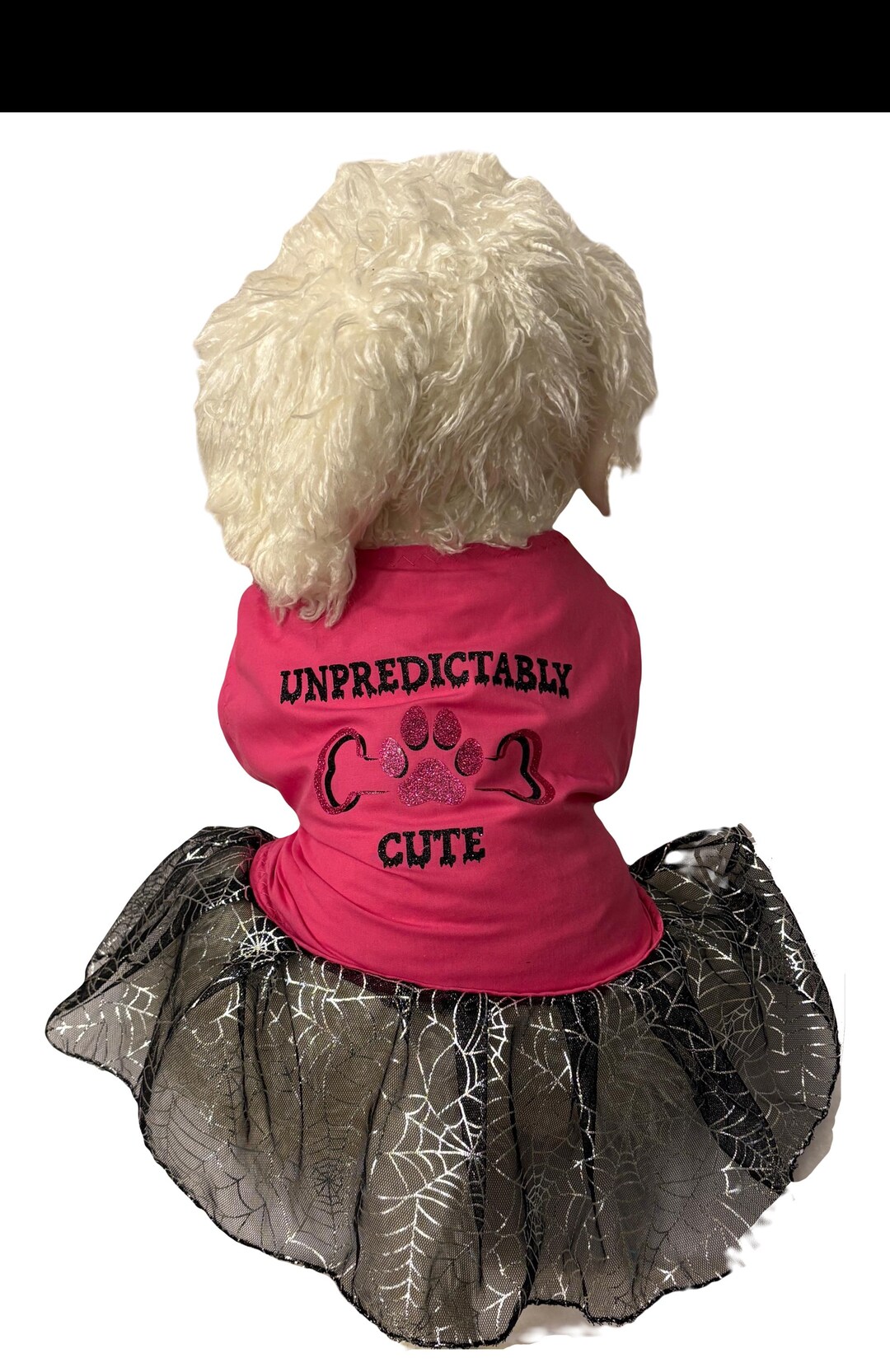 AJ Lee Inspired Doggie Dress: Pink & Spiderweb, Includes Flower Collar ...