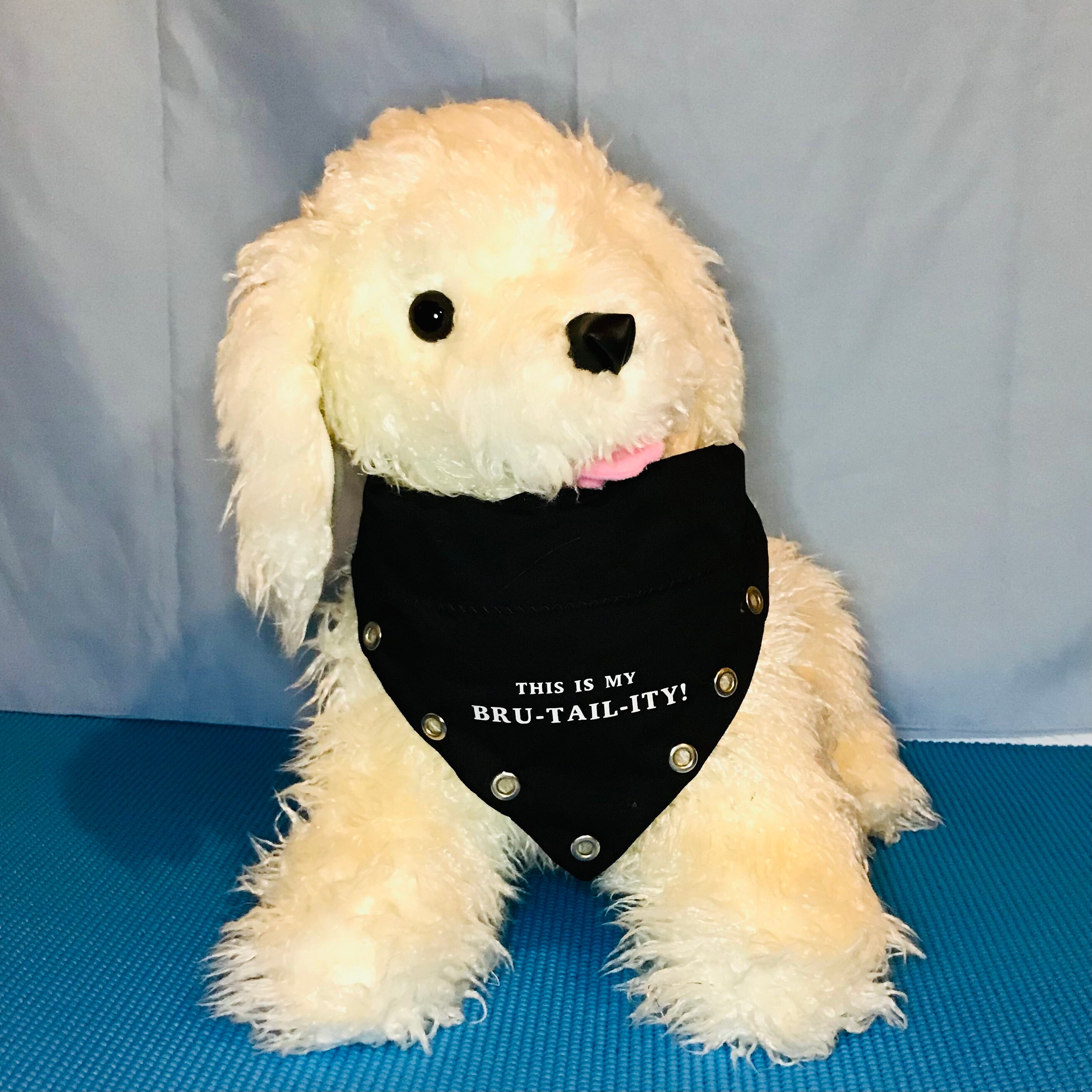 Rhea Ripley “this is My Bru-tail-ity!”two Piece Dog Outfit - Etsy